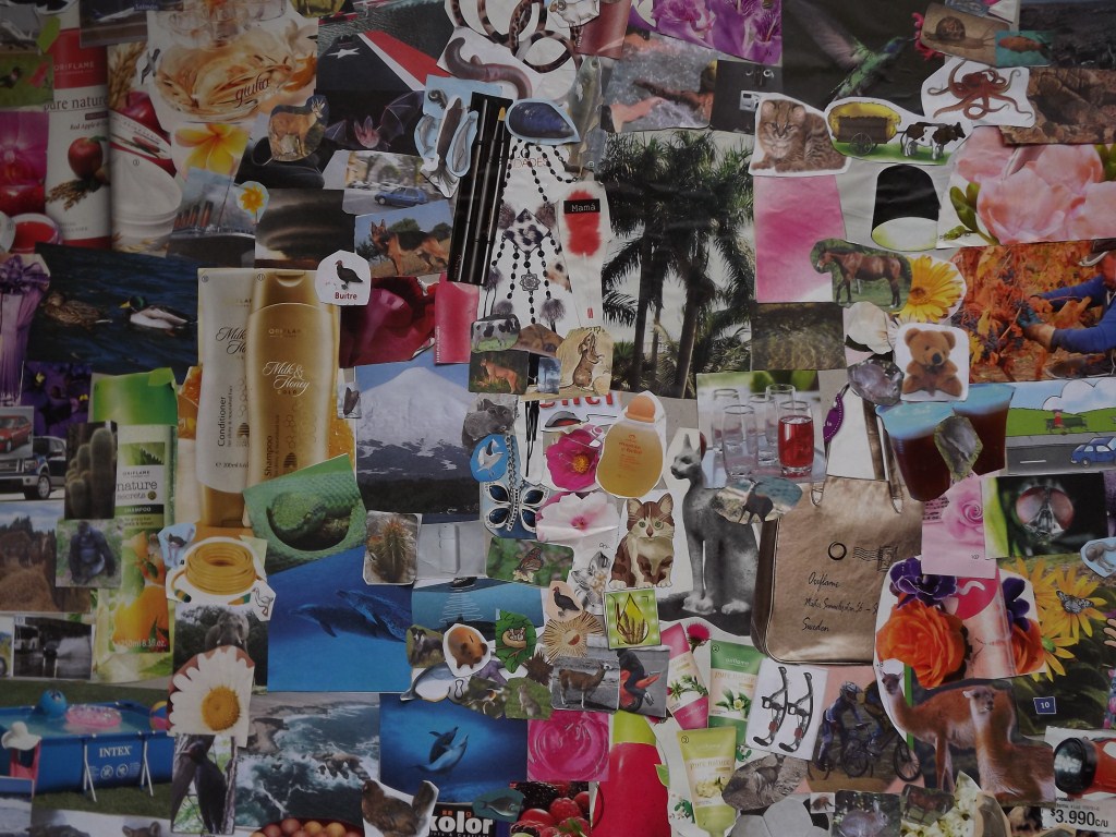 Collage el Diseño en la Naturaleza 7° 2012 ~ Plástica en Coyhaique